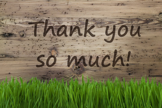 71 BEST "Thank You So Much" IMAGES, STOCK PHOTOS & VECTORS | Adobe Stock