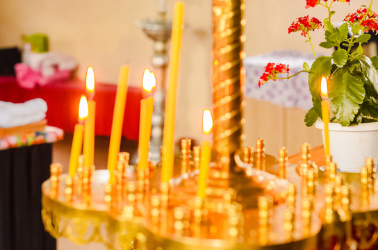 「Diti」の写真素材 | 566件の無料イラスト画像 | Adobe Stock