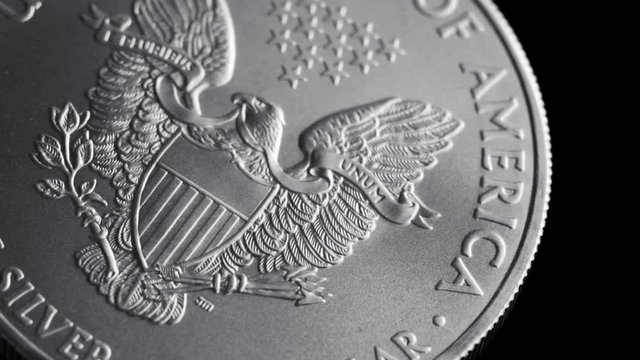 Silver Eagle Images – Browse 12,982 Stock Photos, Vectors, and Video ...