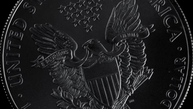 Silver Eagle Images – Browse 12,982 Stock Photos, Vectors, and Video ...