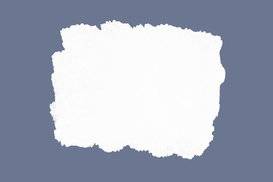 Piant Images – Browse 355 Stock Photos, Vectors, and Video | Adobe Stock