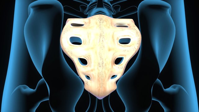 รูปภาพSacral – เลือกดูภาพถ่ายสต็อก เวกเตอร์ และวิดีโอ36,197 | Adobe Stock