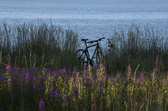 Cykel Bilder – Durchsuchen 62 Archivfotos, Vektorgrafiken und Videos ...