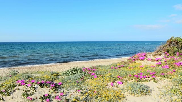 「Sally-My-Handsome」の写真素材 | 403件の無料イラスト画像 | Adobe Stock