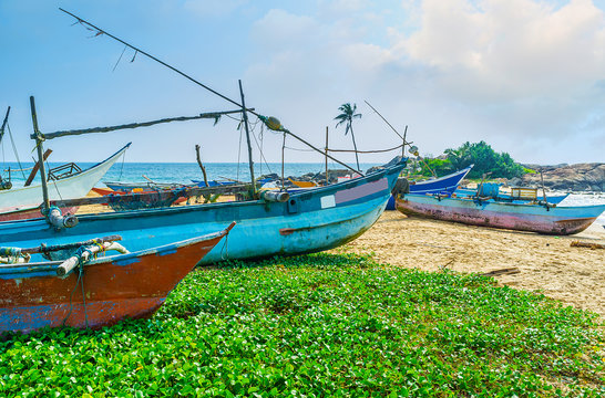 รูปภาพOruwa – เลือกดูภาพถ่ายสต็อก เวกเตอร์ และวิดีโอ119 | Adobe Stock