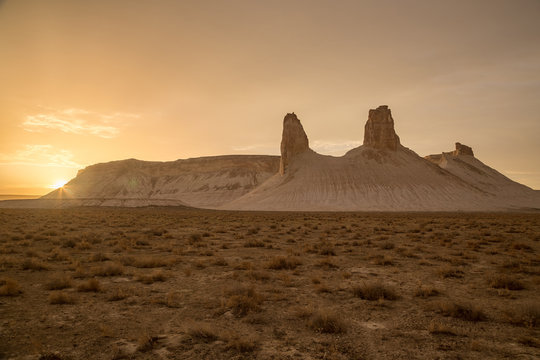 Saksaul bilder – Bläddra bland 174 stockfoton, vektorer och videor ...