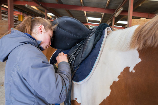 Sangler Images – Browse 43 Stock Photos, Vectors, and Video | Adobe Stock