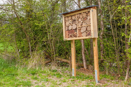 「Einnisten」の写真素材 | 99件の無料イラスト画像 | Adobe Stock