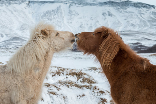 Gaiser Images – Browse 56 Stock Photos, Vectors, and Video | Adobe Stock