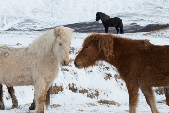 Gaiser Images – Browse 56 Stock Photos, Vectors, and Video | Adobe Stock