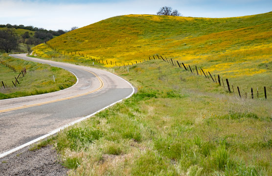 Backroads Images – Browse 5,090 Stock Photos, Vectors, and Video ...