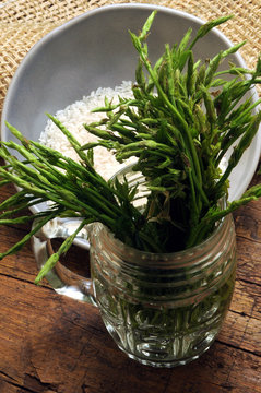 Asparagina Images – Browse 157 Stock Photos, Vectors, and Video | Adobe ...