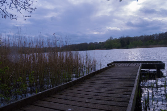 melvito photos, images, assets | Adobe Stock