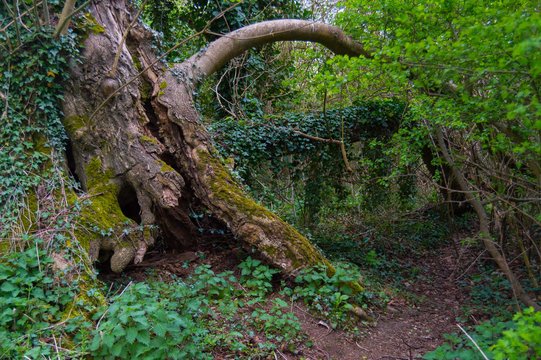 melvito photos, images, assets | Adobe Stock