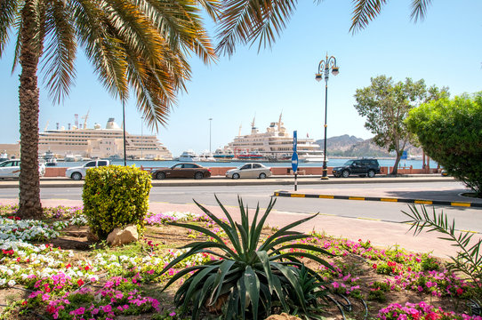 Bulwar Images – Browse 752 Stock Photos, Vectors, and Video | Adobe Stock