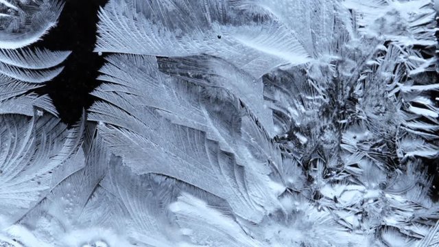 「Riht」の画像 - 10 件の Stock 写真、ベクターおよびビデオ | Adobe Stock