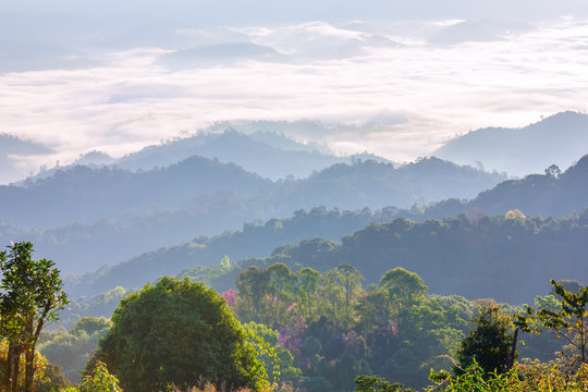 Chadao Bilder – Durchsuchen 285 Archivfotos, Vektorgrafiken und Videos ...