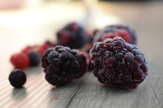 Berren-Bilder: Stock-Fotos & -Videos. | Adobe Stock