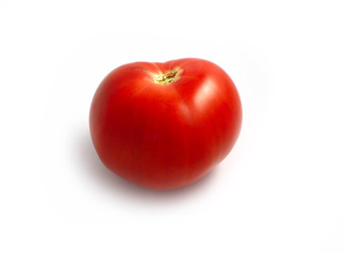 One Tomato