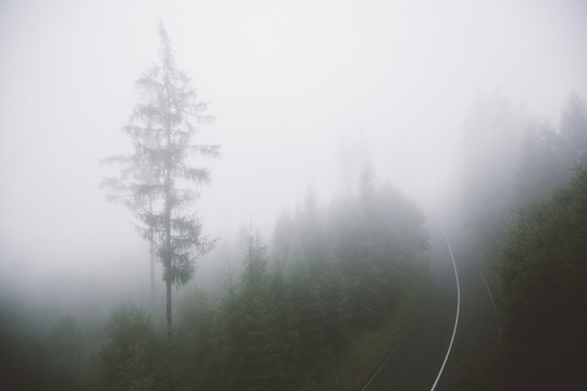 「Nebelig」の写真素材 | 15,961件の無料イラスト画像 | Adobe Stock