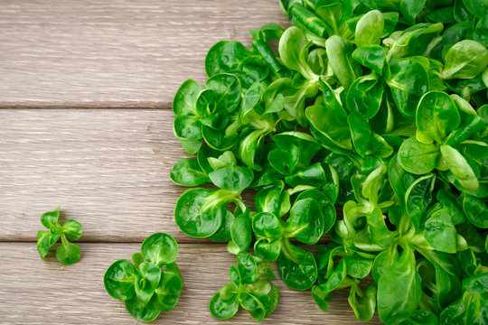 tinnko 写真、画像、アセット | Adobe Stock