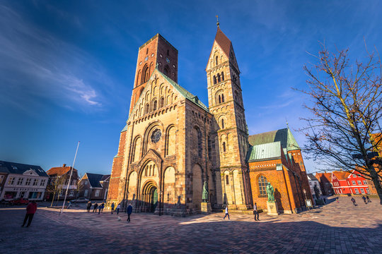 Ribe Billeder – Gennemse 3,299 stockfotos, vektorer og videoer | Adobe ...