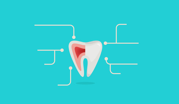 Oral Health Infographic Images – Browse 10,373 Stock Photos, Vectors ...