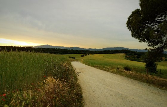 Imágenes de Entorn: descubre bancos de fotos, ilustraciones, vectores y ...