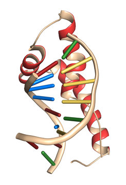 Sry Imagens – Procure 491 fotos, vetores e vídeos | Adobe Stock