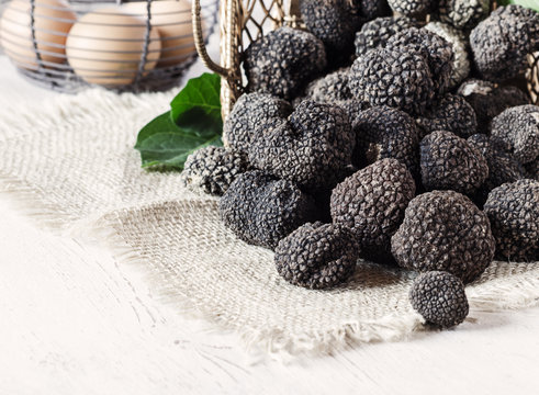 รูปภาพTuber – เลือกดูภาพถ่ายสต็อก เวกเตอร์ และวิดีโอ136,917 | Adobe Stock