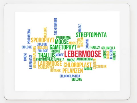 Phragmoplastophyta Images – Browse 5 Stock Photos, Vectors, and Video ...