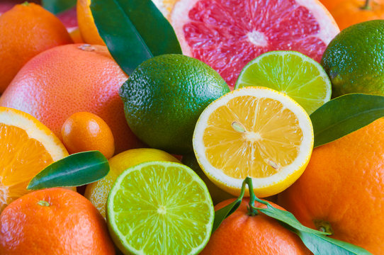 รูปภาพOrang-Utang – เลือกดูภาพถ่ายสต็อก เวกเตอร์ และวิดีโอ312,944 ...