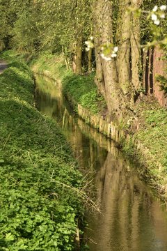 "En Aval"-Bilder: Stock-Fotos & -Videos. | Adobe Stock