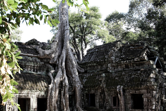 Indochiny Images – Browse 51 Stock Photos, Vectors, and Video | Adobe Stock