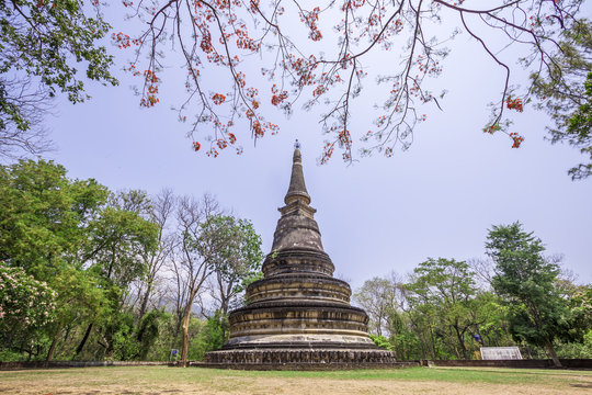 「Umong」の写真素材 | 1,144件の無料イラスト画像 | Adobe Stock