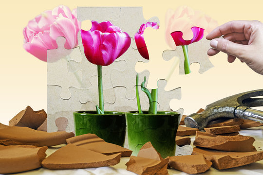 Rachel Lerch photos, images, assets | Adobe Stock