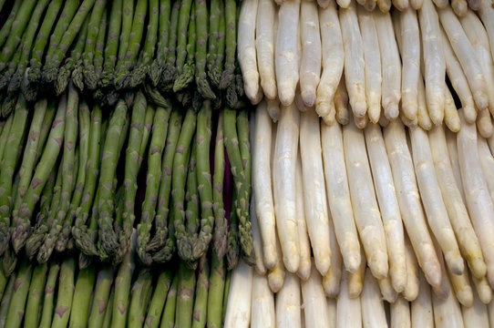 Sparris Images – Browse 32 Stock Photos, Vectors, and Video | Adobe Stock