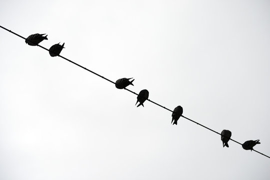 Resa Bilder – Durchsuchen 382 Archivfotos, Vektorgrafiken und Videos ...