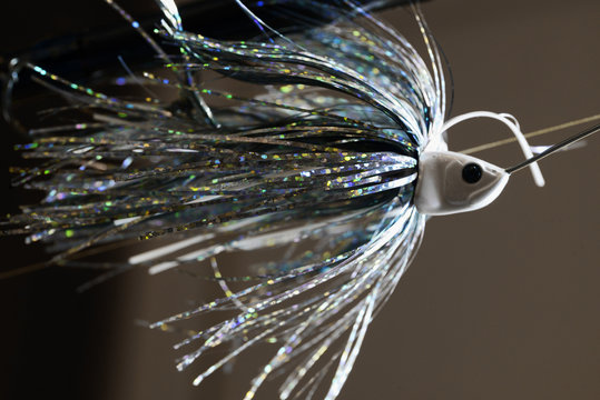 Fiske Images – Browse 235 Stock Photos, Vectors, and Video | Adobe Stock