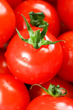 Gralion photos, images, assets | Adobe Stock