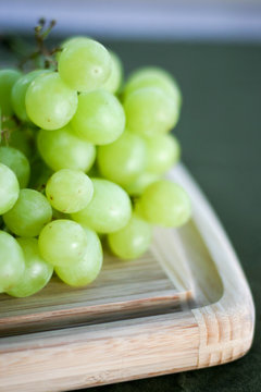 Gralion photos, images, assets | Adobe Stock