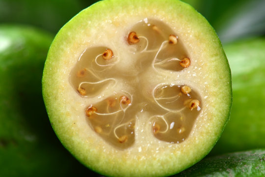 รูปภาพFeyxoa – เลือกดูภาพถ่ายสต็อก เวกเตอร์ และวิดีโอ85 | Adobe Stock