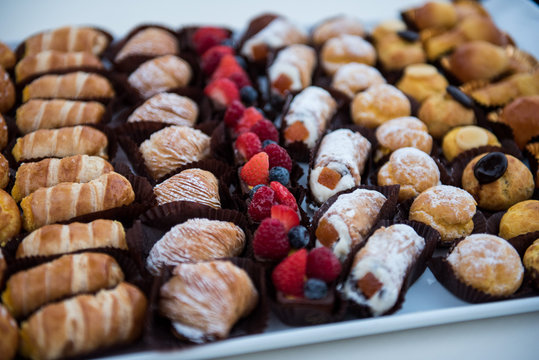 Dolcetti Images – Browse 1,813 Stock Photos, Vectors, and Video | Adobe ...
