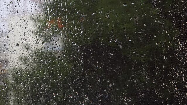 Raindrops Falling On Window