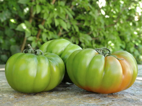 Marinda Bilder – Durchsuchen 3,367 Archivfotos, Vektorgrafiken und ...