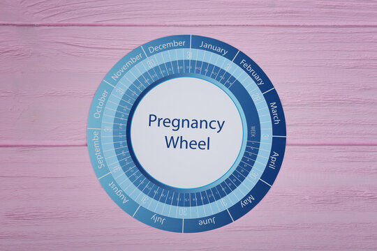 "Pregnancy Wheel" Imagens – Procure 84 fotos, vetores e vídeos | Adobe ...