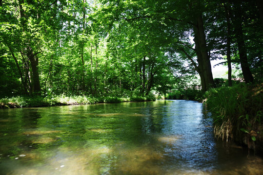 Flussufer bilder – Bla gjennom 11,228 arkivbilder, vektorer og videoer ...