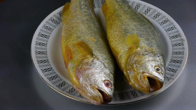 "Croaker Fish" Images – Browse 2,107 Stock Photos, Vectors, and Video ...