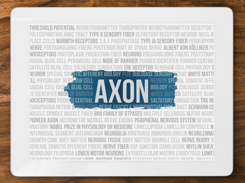 Telodendron Imagens – Procure 3 fotos, vetores e vídeos | Adobe Stock