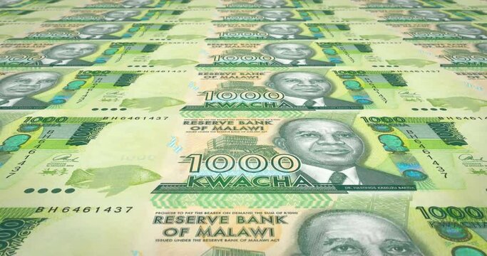 Mwk Images – Browse 314 Stock Photos, Vectors, and Video | Adobe Stock